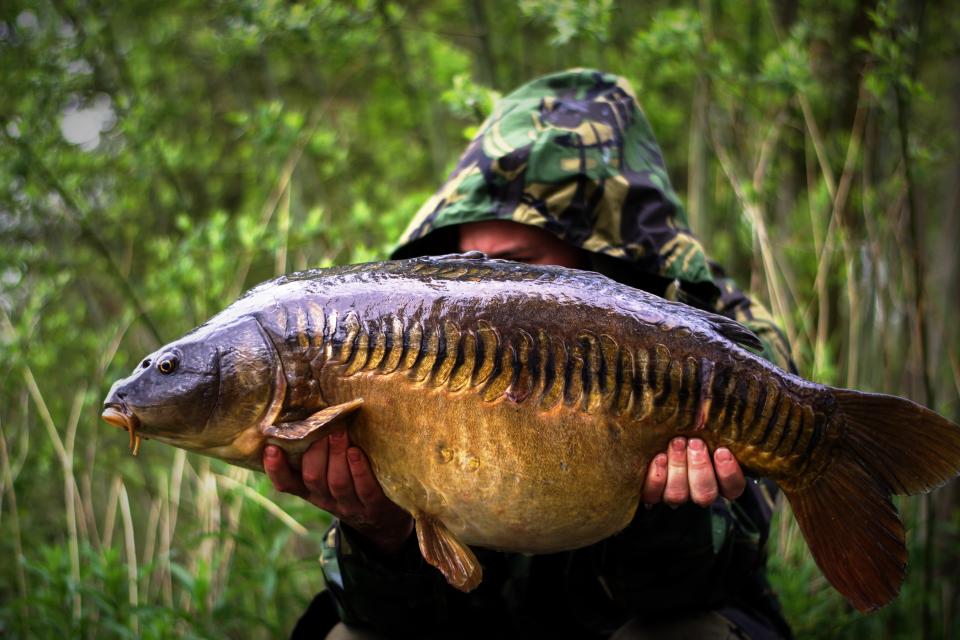 Zip Lin | Total Carp